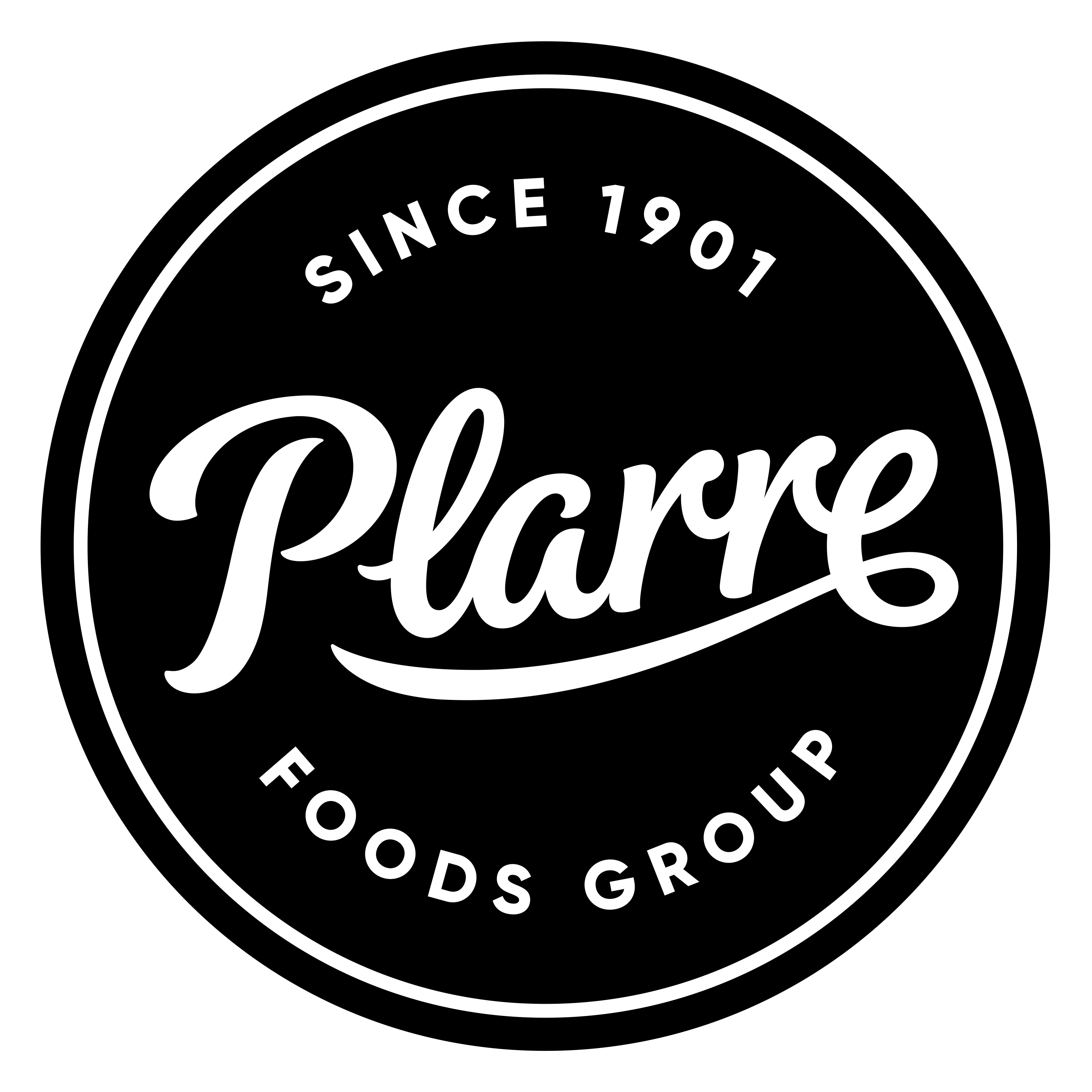 Logotipo De Ferguson Plarre